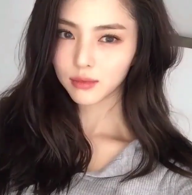 메이플스토리 인벤 남자들이 좋아하는 고양이상 연예인들 메이플스토리 인벤 자유게시판 구