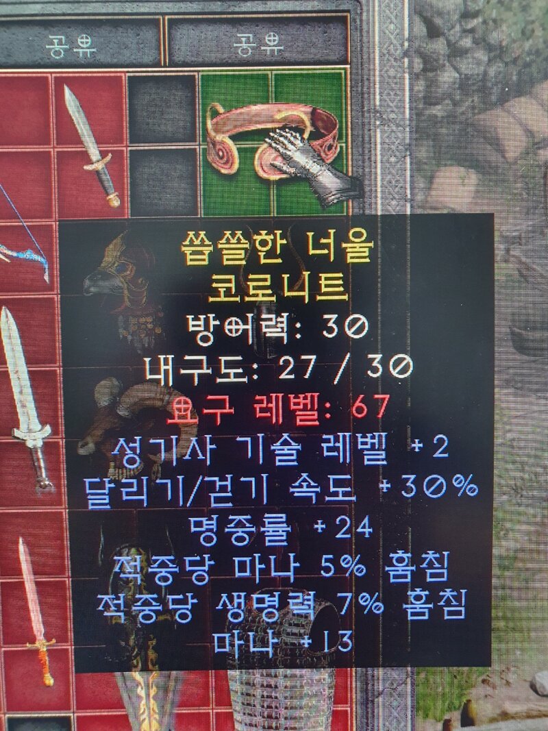 성기사 투구 감정좀 디아블로2 득템and자랑 게시판 디아블로2 인벤