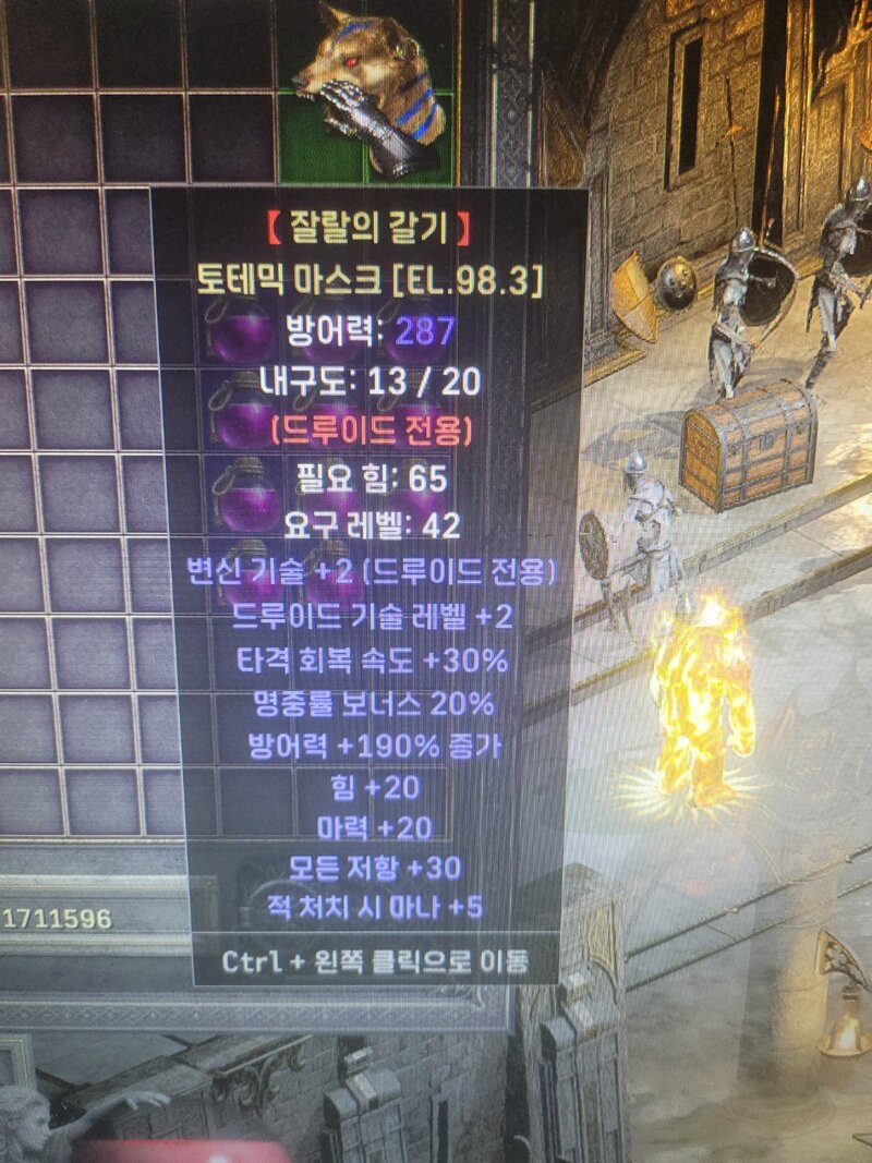 잘랄의 갈기 감정 부탁드립니다~ 디아블로2 드루이드 게시판 디아블로2 인벤