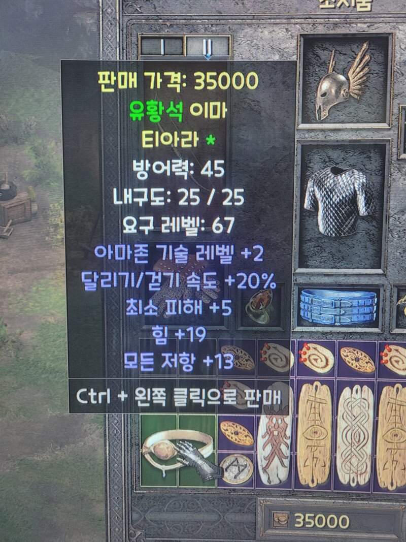 아마존뚜껑 어때요 디아블로2 아마존 게시판 디아블로2 인벤