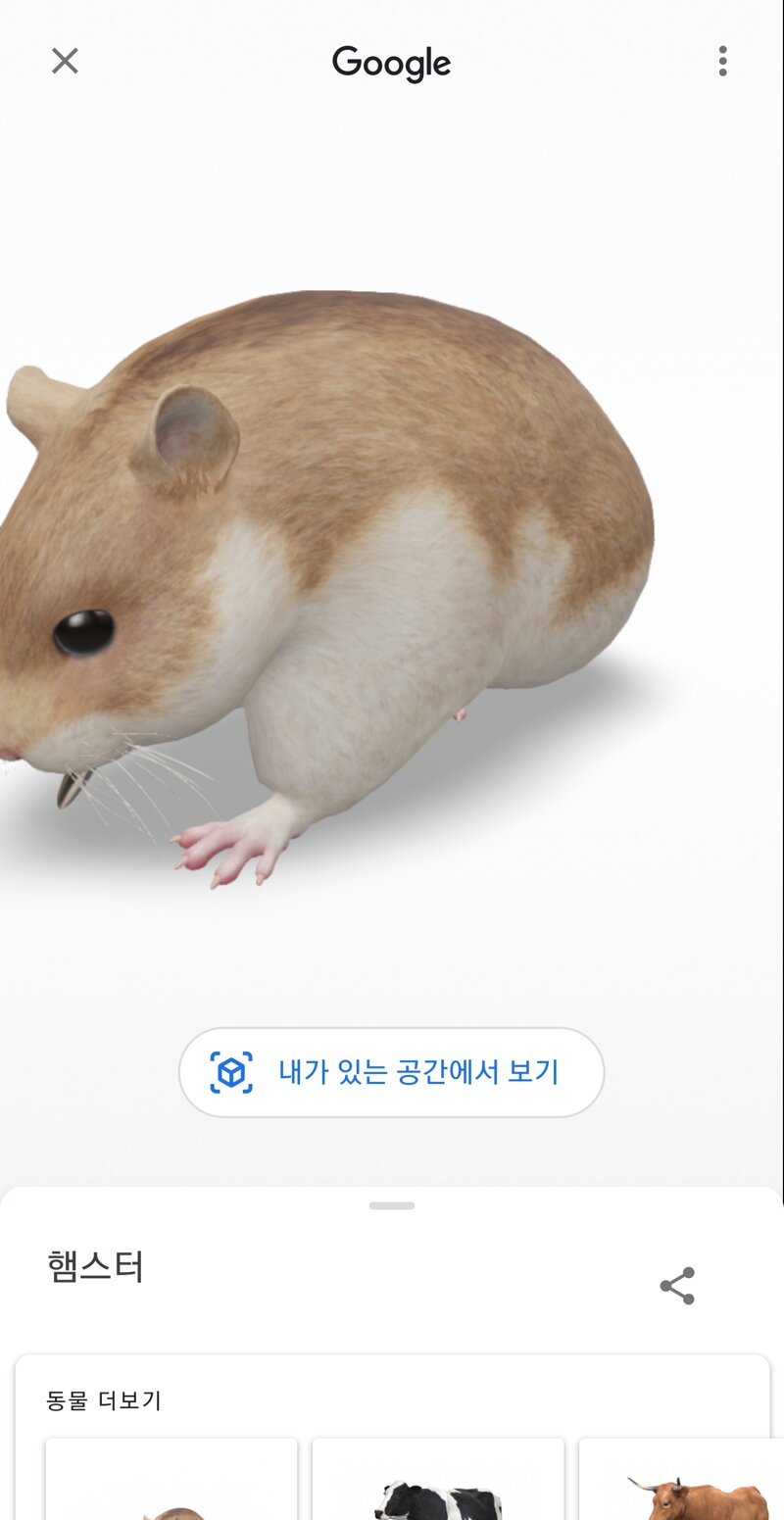 메이플스토리 인벤 십추글 쥐새끼 글 보고 분양할라고 메이플스토리 인벤 자유게시판 구