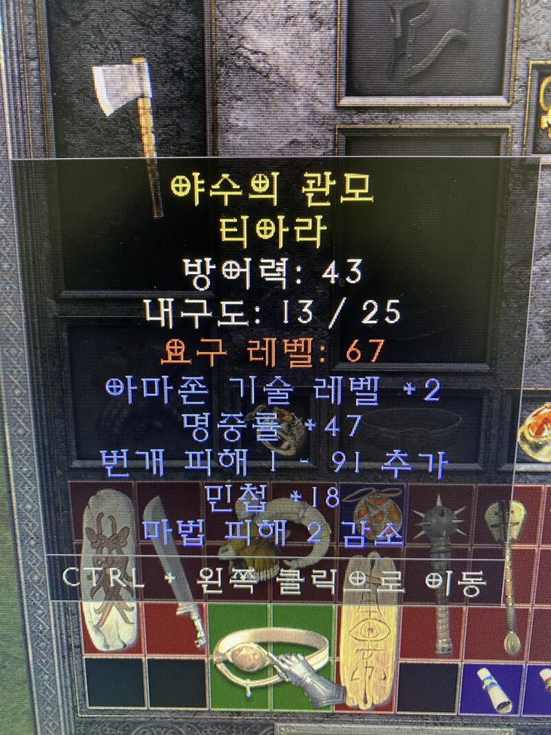 아마존 투구 시세있을가요 디아블로2 자유 게시판 디아블로2 인벤
