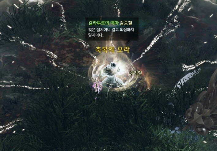 로스트아크 인벤 홀나 매크로 문구는 2개로 충분합니다 로스트아크 인벤 홀리나이트 게시판