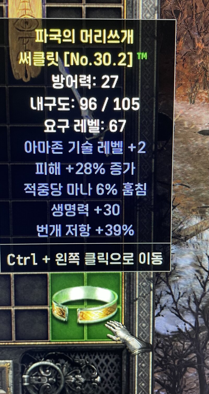 아마존써클릿 시세있나요 디아블로2 자유 게시판 디아블로2 인벤