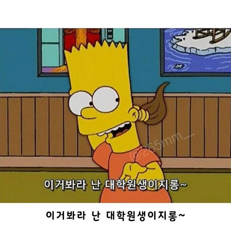 메이플스토리 인벤 심슨에서 보여주는 대학원생 메이플스토리 인벤 자유게시판 구