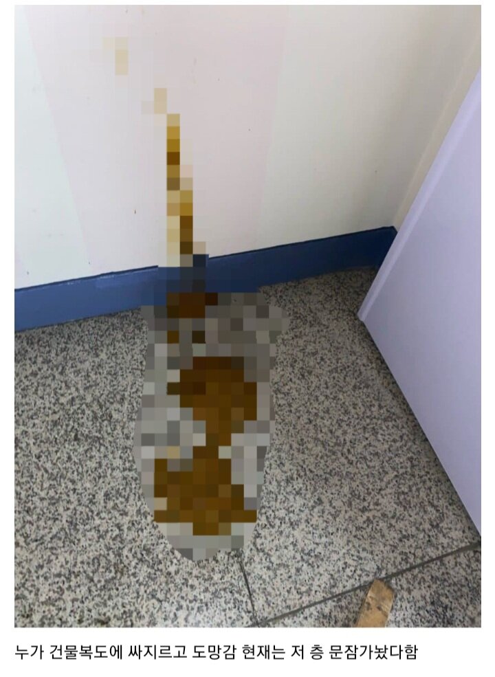 메이플스토리 인벤 혐실시간 성균관대 해병짜장 제조 메이플스토리 인벤 자유게시판 구