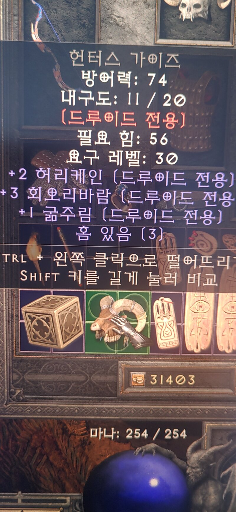 드루 양머리 착란재료인가요 디아블로2 드루이드 게시판 디아블로2 인벤