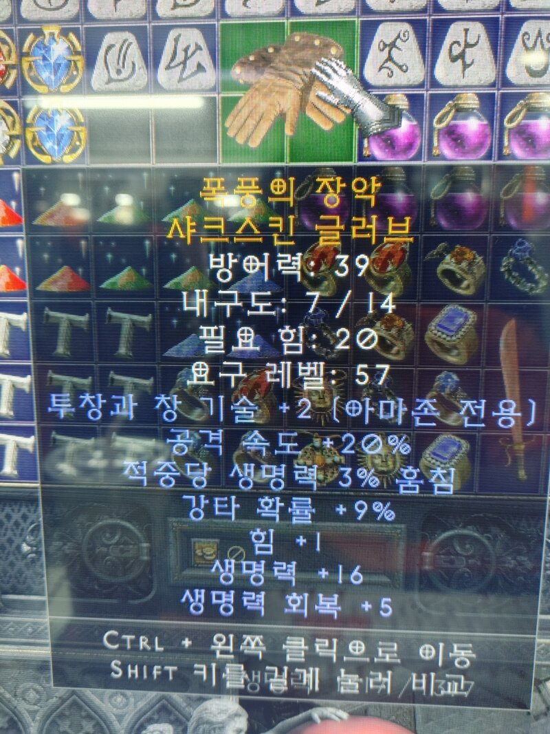 투창장갑 쓰나요 디아블로2 아마존 게시판 디아블로2 인벤
