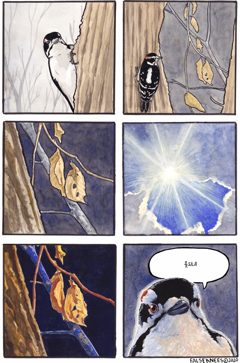메이플스토리 인벤 새 만화manhwa 메이플스토리 인벤 자유게시판