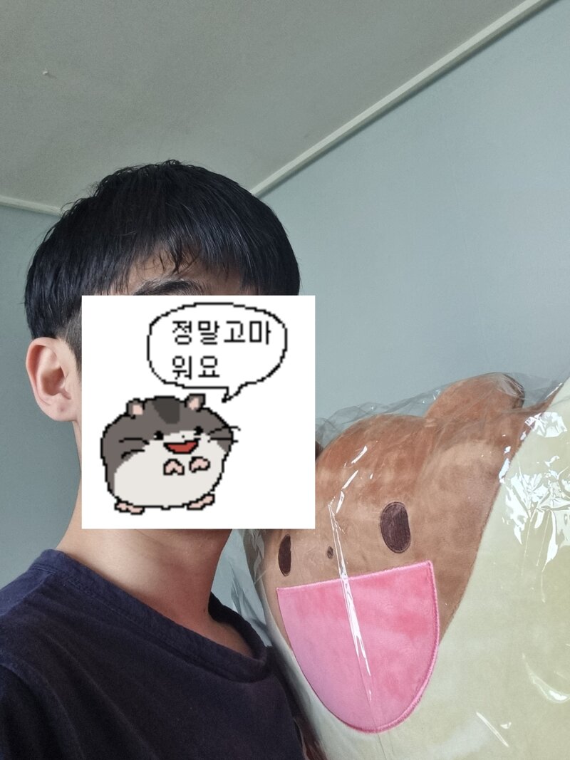 발로란트 인벤 안아줘요 인형 후기 오픈이슈갤러리