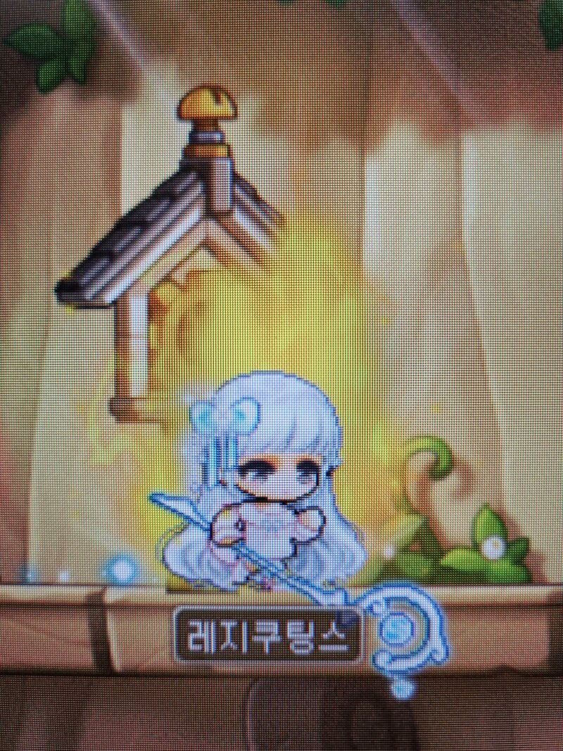 메이플스토리 인벤 첫 코디 메이플스토리 인벤 코디득템스크린샷 게시판