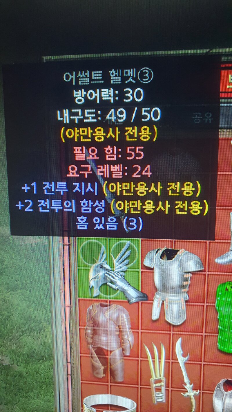 어썰트혼드 헬름 3솟 환인가요 디아블로2 득템and자랑 게시판 디아블로2 인벤