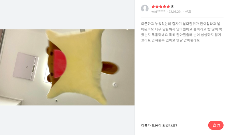 메이플스토리 인벤 안아줘요 인형 리뷰 모음집 메이플스토리 인벤 자유게시판 구