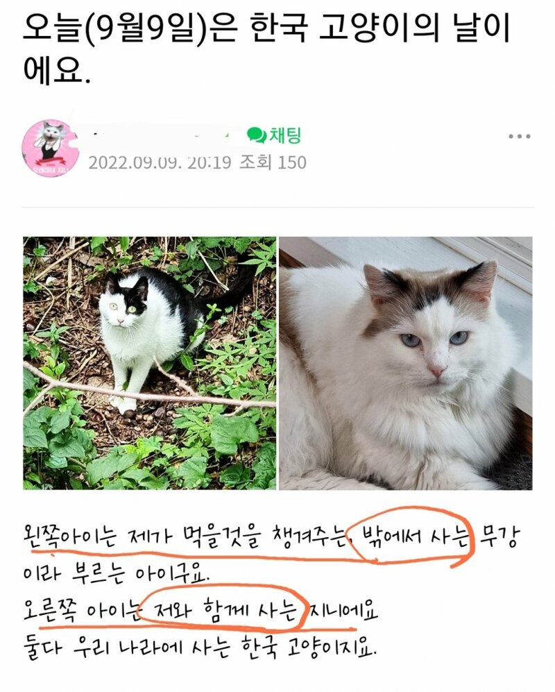 메이플스토리 인벤 엄마 저도 집에 들여보내주세요 메이플스토리 인벤 자유게시판 구