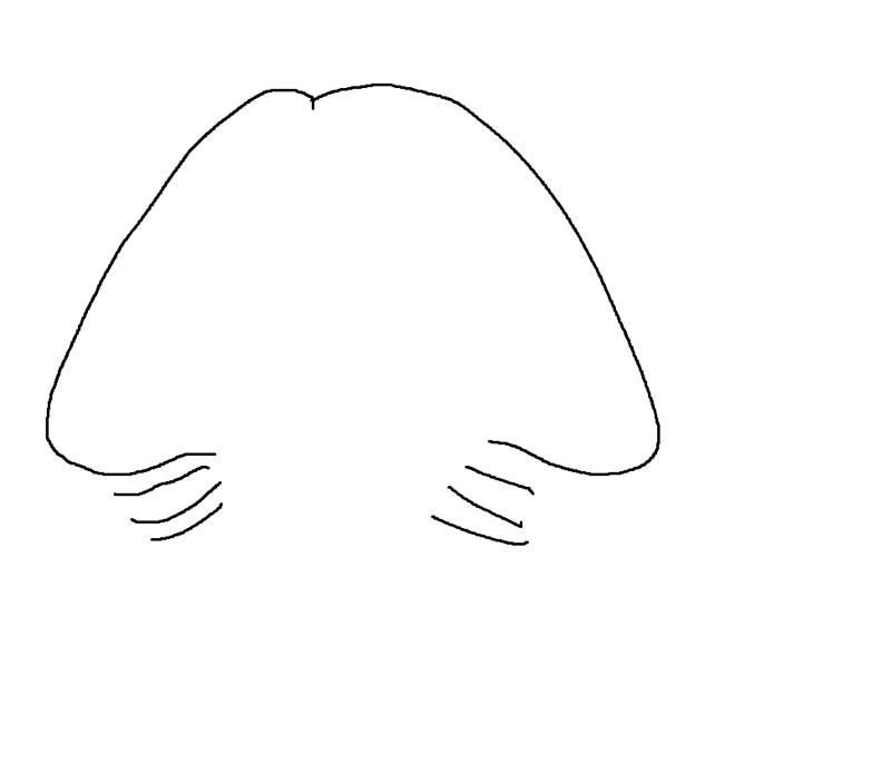 메이플스토리 인벤 야한그림 메이플스토리 인벤 자유게시판 구