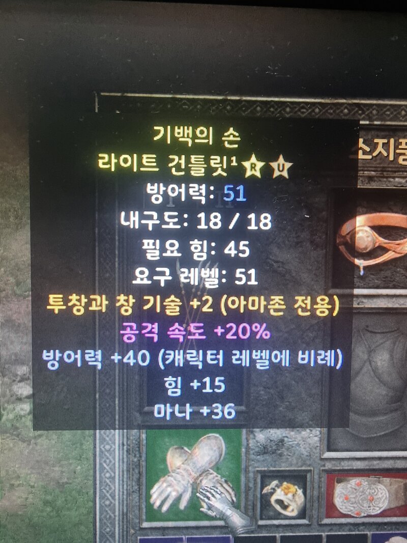 아마존 장갑 감정 좀요 디아블로2 득템and자랑 게시판 디아블로2 인벤