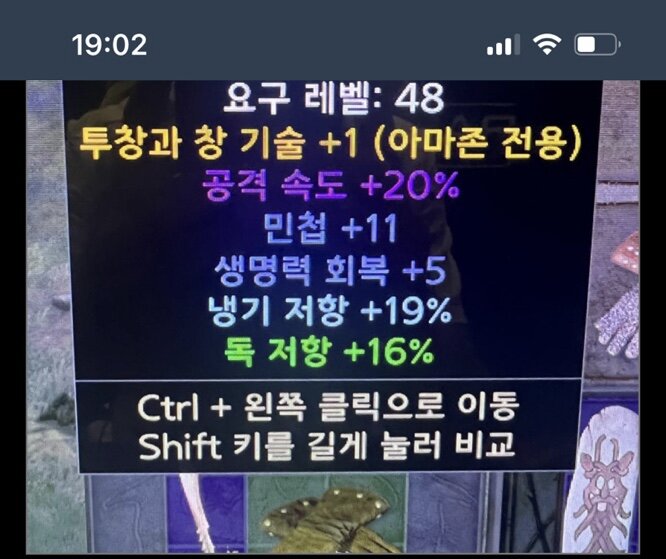 이것들 다 환인가요 디아블로2 자유 게시판 디아블로2 인벤