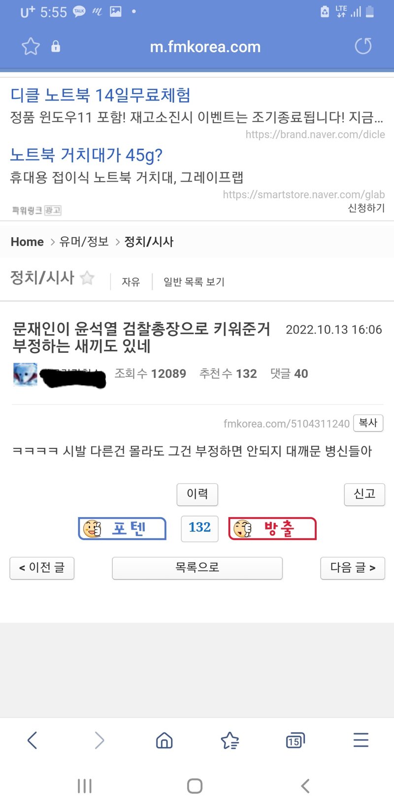 펨충이들 뇌절중 오픈이슈갤러리 인벤