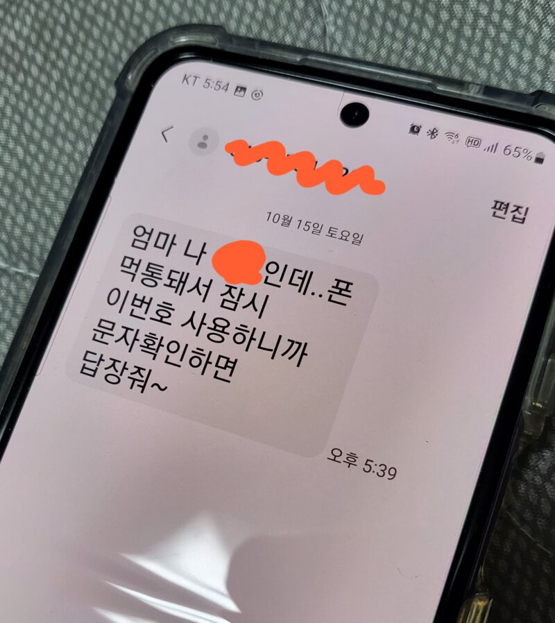 가족 사칭 문자 조심하세요 오픈이슈갤러리 인벤