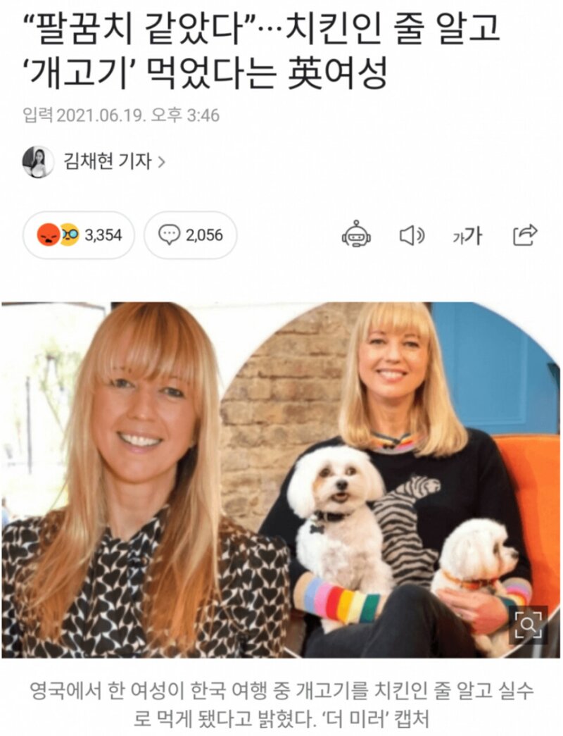 메이플스토리 인벤 개 치킨 메이플스토리 인벤 자유게시판