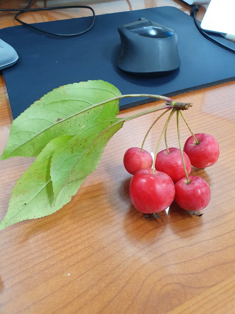 리거 먹어도 되냐 디아블로3 인벤 자유게시판 디아블로3 인벤