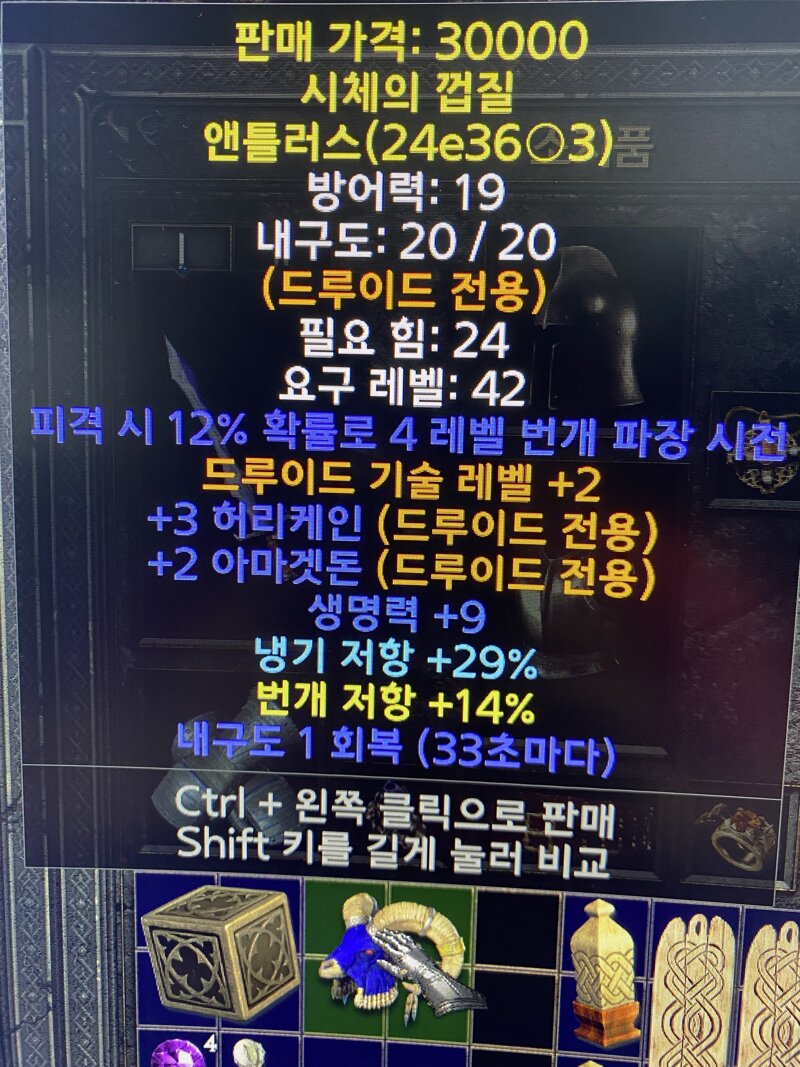 이런 뚜껑 쓰나요 래더입니다 디아블로2 드루이드 게시판 디아블로2 인벤