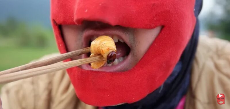 메이플스토리 인벤 일리움 어빌리티 메이플스토리 인벤 마법사 직업게시판