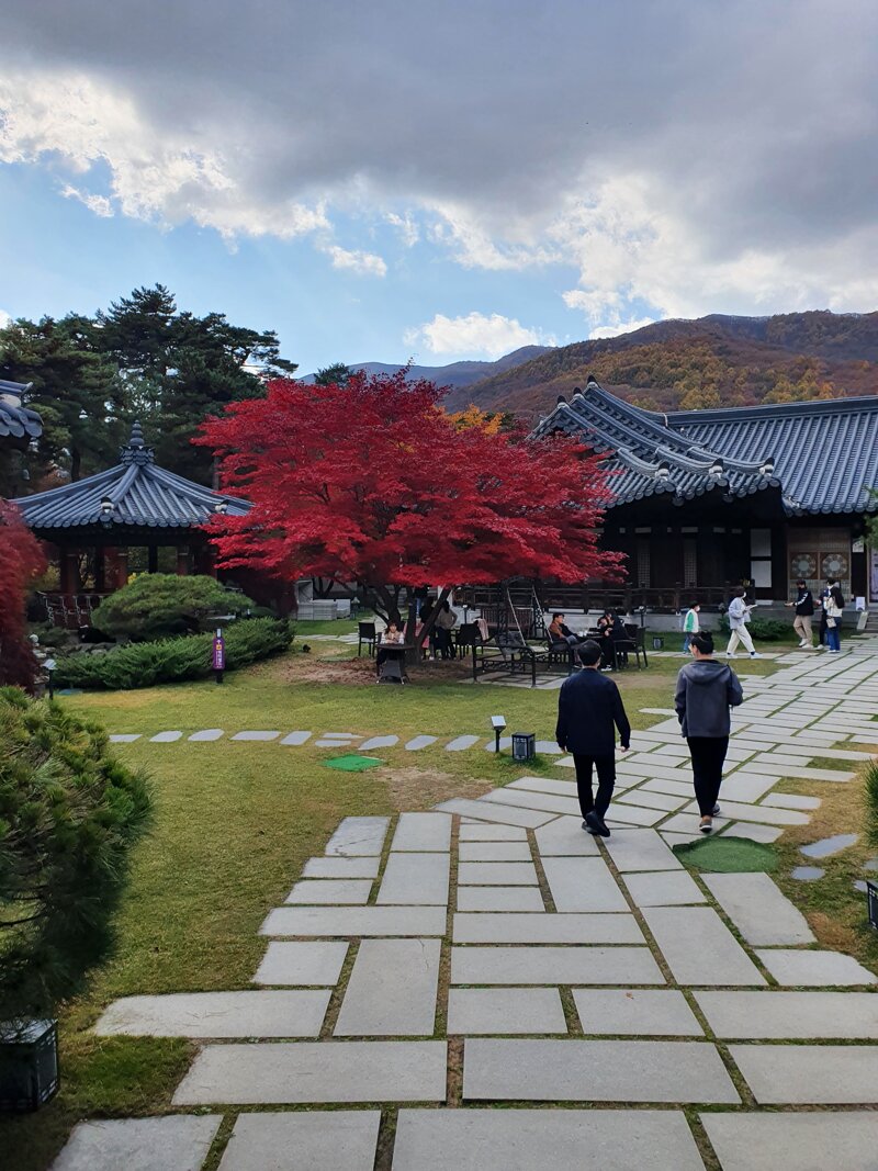메이플스토리 인벤 강원기 랜드를 떠나 메이플스토리 인벤 자유게시판