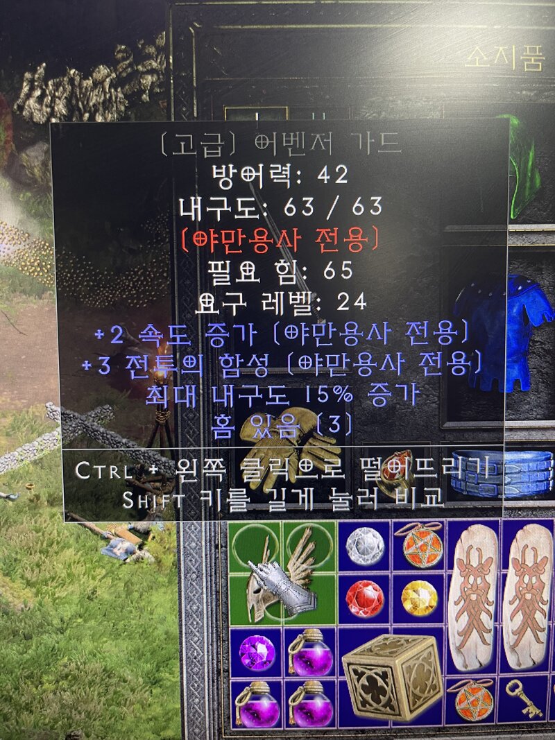 형들 이런거 쓰나요 디아블로2 자유 게시판 디아블로2 인벤