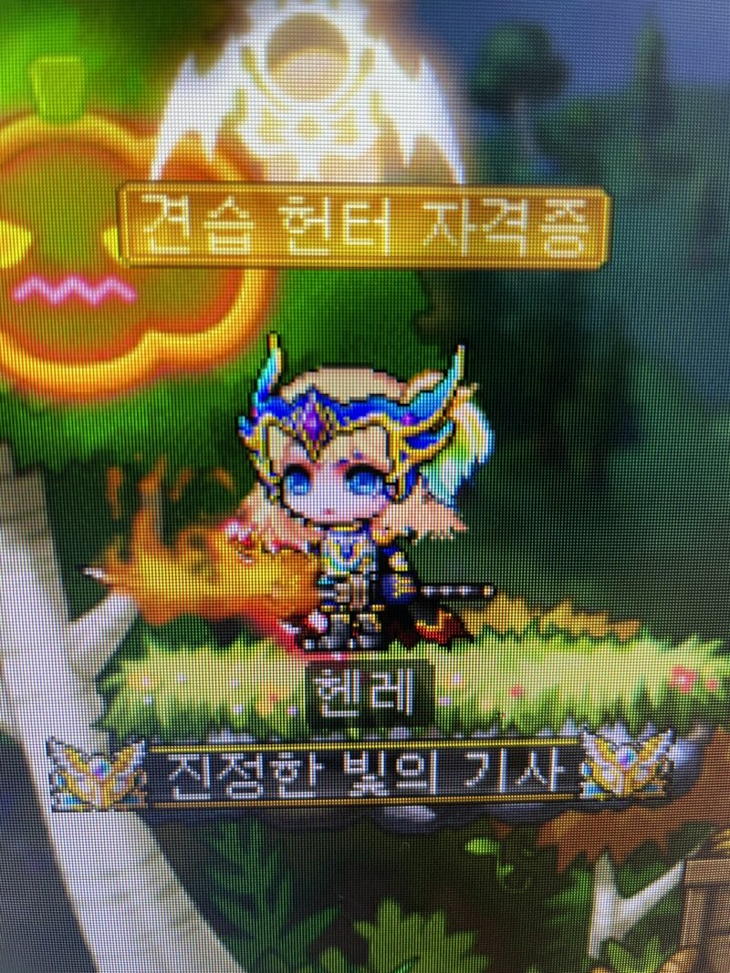 메이플스토리 인벤 두글자닉 두개 한번에먹었어요 메이플스토리 인벤 자유게시판
