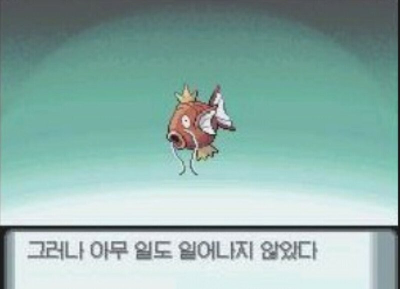 메이플스토리 인벤 여초과에 있는 남자 특징 메이플스토리 인벤 자유게시판