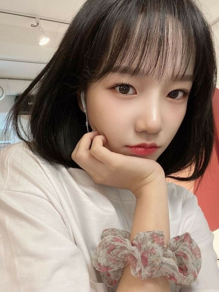 메이플스토리 인벤 요즘 유튜브 어디가든 폼 미쳤다 있는데 메이플스토리 인벤 자유게시판