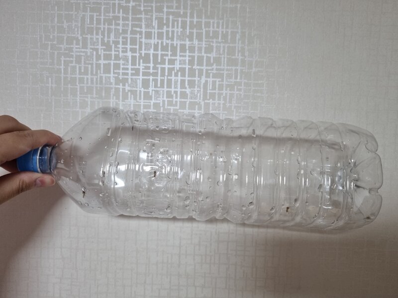 메이플스토리 인벤 화면안의 모기를 찾으시오 메이플스토리 인벤 자유게시판