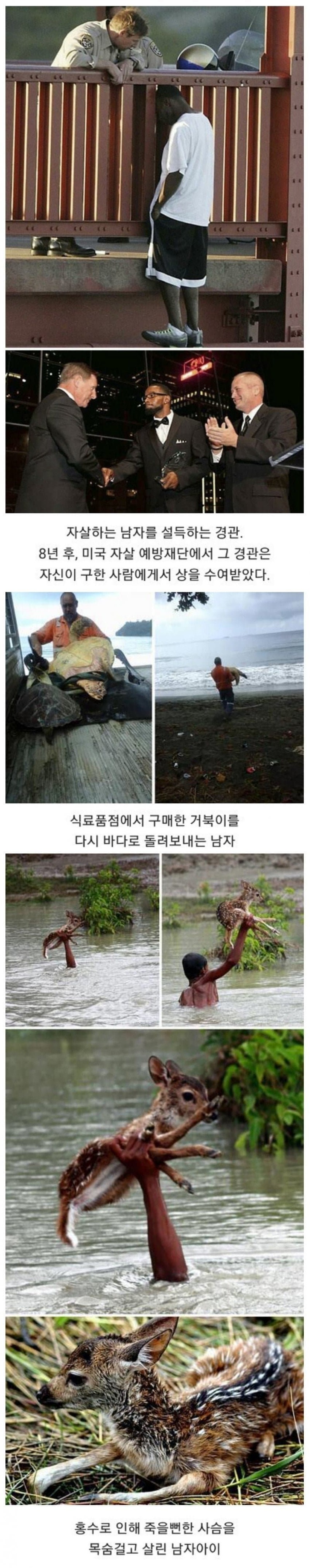 메이플스토리 인벤 싱글벙글 지구촌 메이플스토리 인벤 자유게시판