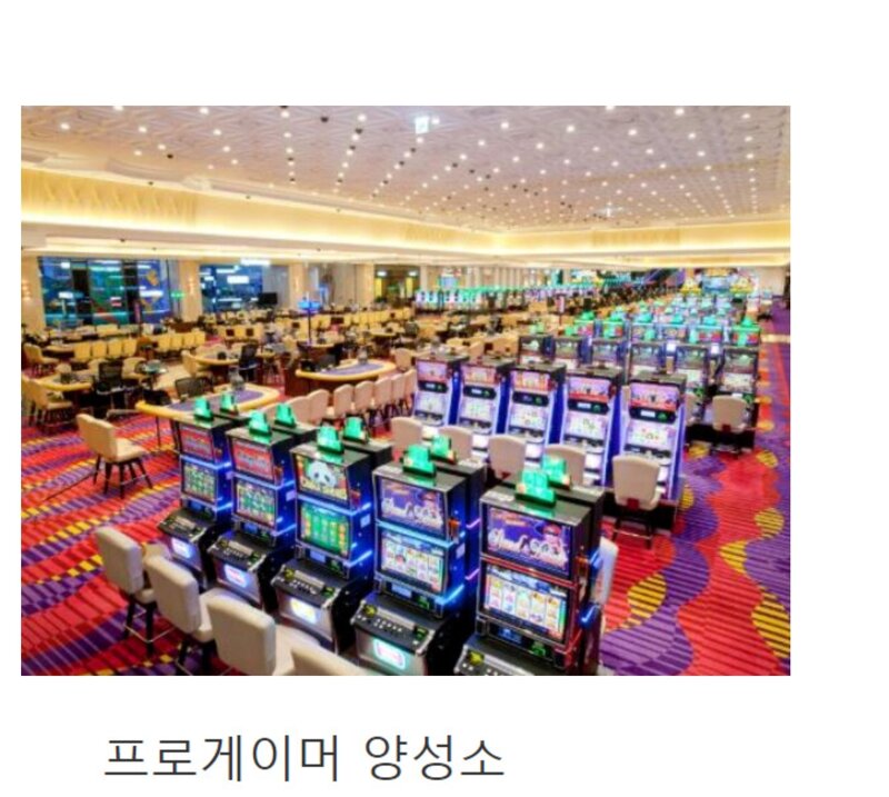 로스트아크 인벤 게관위시점 로스트아크 인벤 자유 게시판