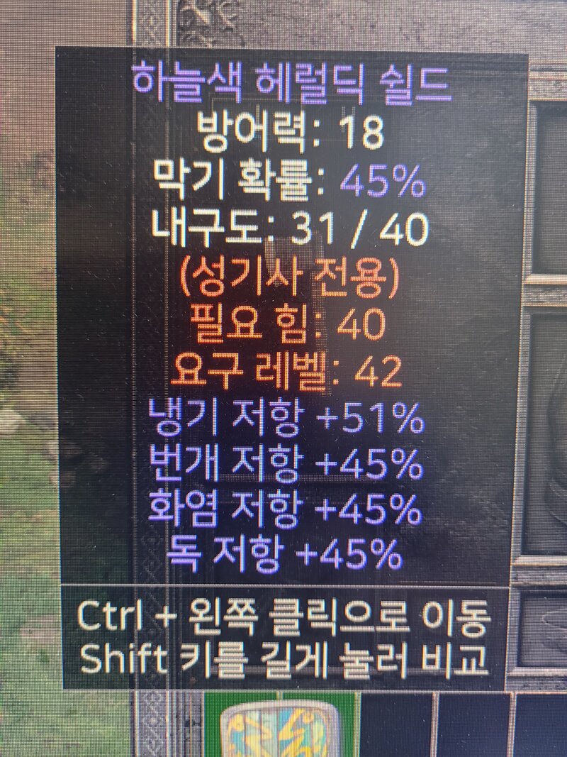 매직헤럴틱쉴드 이거쓰나요 디아블로2 득템and자랑 게시판 디아블로2 인벤