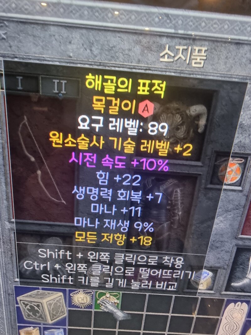 목걸이 좀 봐주세요 형들 디아블로2 득템and자랑 게시판 디아블로2 인벤