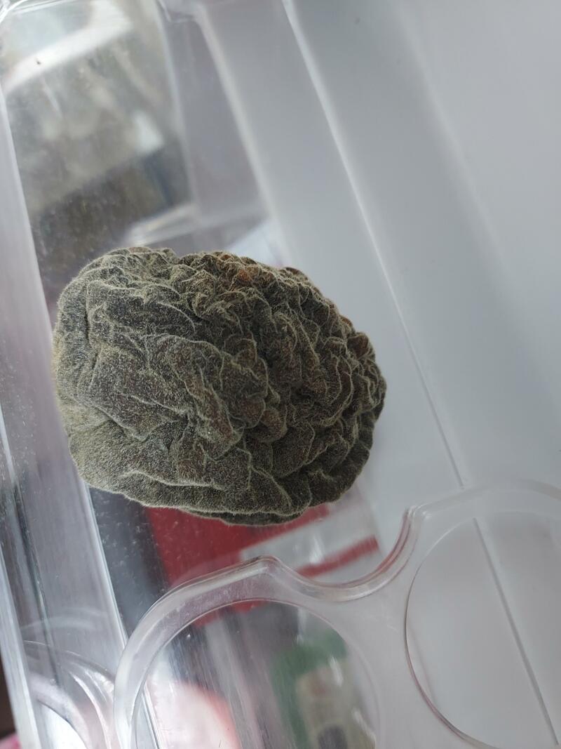 메이플스토리 인벤 이거 뭐냐 메이플스토리 인벤 자유게시판