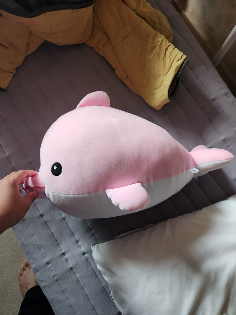 메이플스토리 인벤 분홍돌고래 인형후기 메이플스토리 인벤 자유게시판