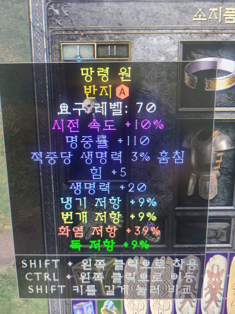 이 패캐 생흡링 시세 얼말까요 디아블로2 득템and자랑 게시판 디아블로2 인벤