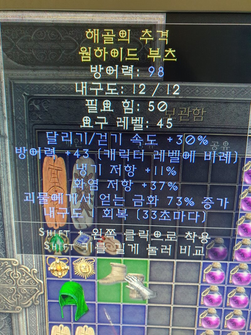 이거득템 인지 봐주세요 고수님들 디아블로2 득템and자랑 게시판 디아블로2 인벤