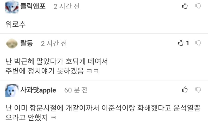 윤석열에게 이용당하고 버려진 살코 근황 오픈이슈갤러리 인벤
