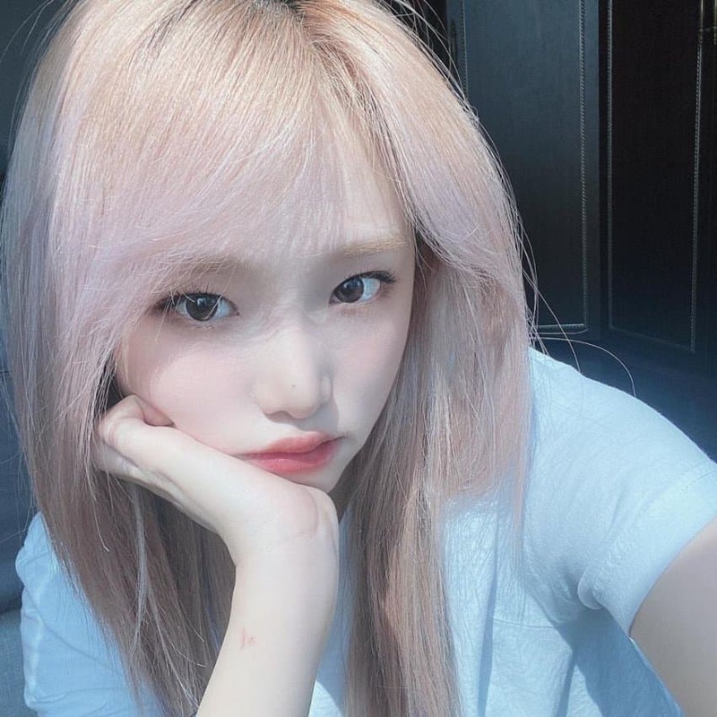 메이플스토리 인벤 원더바니 왤케 이쁘냐 ㅋㅋ 메이플스토리 인벤 자유게시판