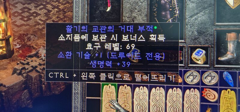 드루 소환참도 쓰나요 디아블로2 자유 게시판 디아블로2 인벤