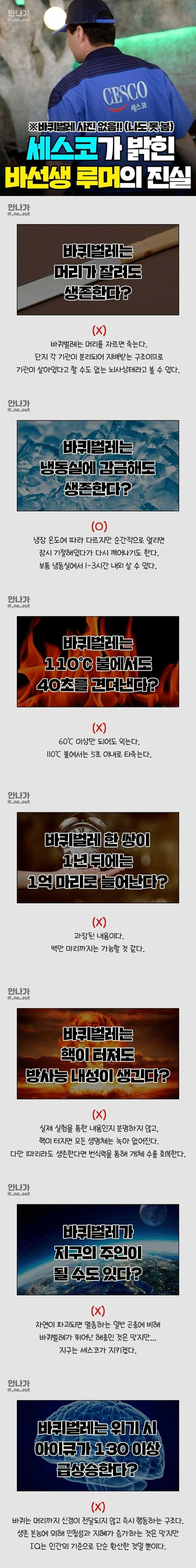 로스트아크 인벤 세스코가 알려주는 바퀴벌레 ㅁㅊ ㄷㄷㄷㄷㄷㄷㄷㄷ 로스트아크 인벤 자유 게시판