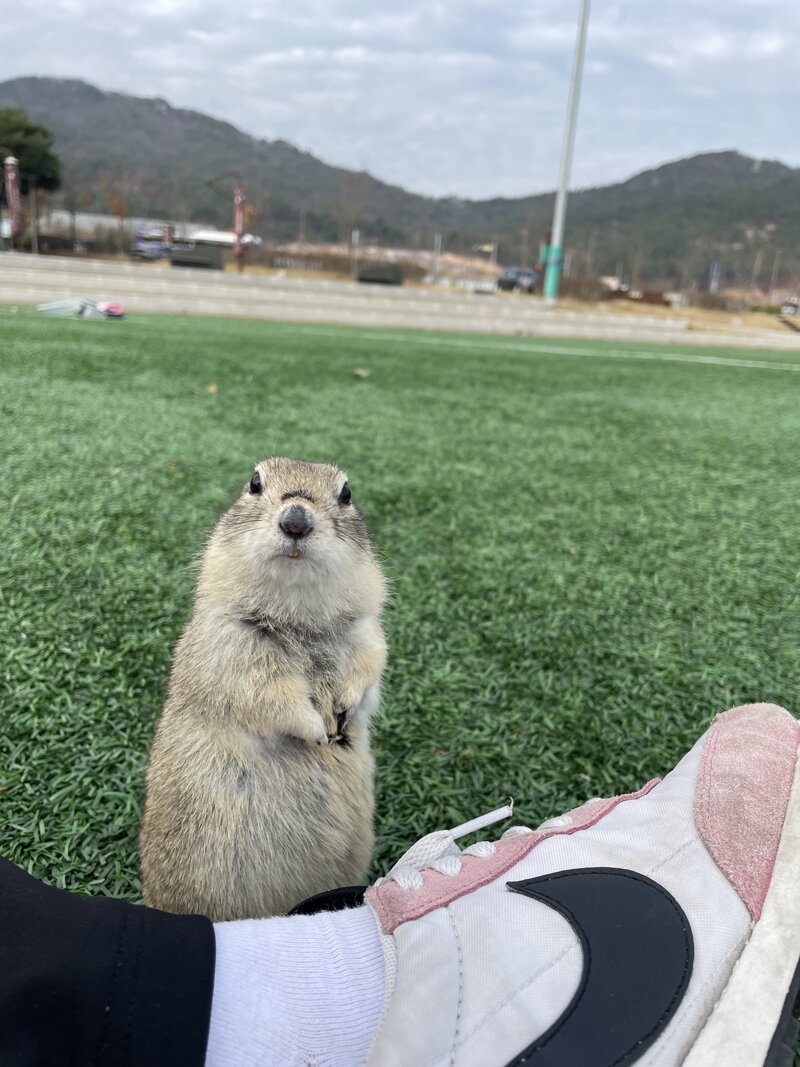메이플스토리 인벤 너 좃밥이잖아 메이플스토리 인벤 리부트 게시판