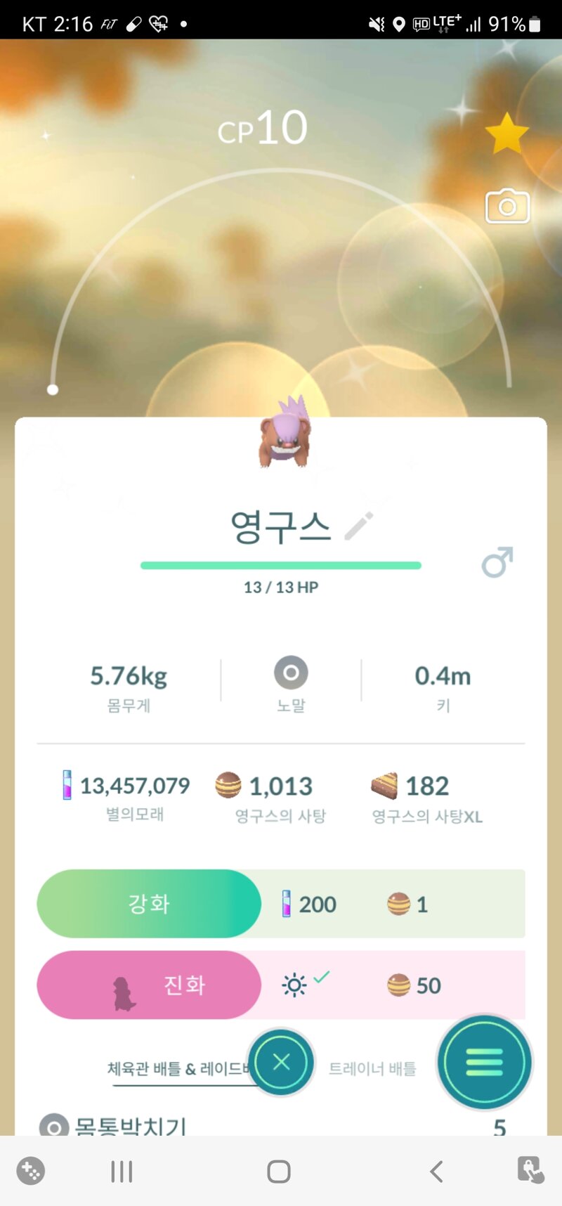 포켓몬 Go 인벤 영구스 포켓몬go 인벤 인증 자랑 게시판