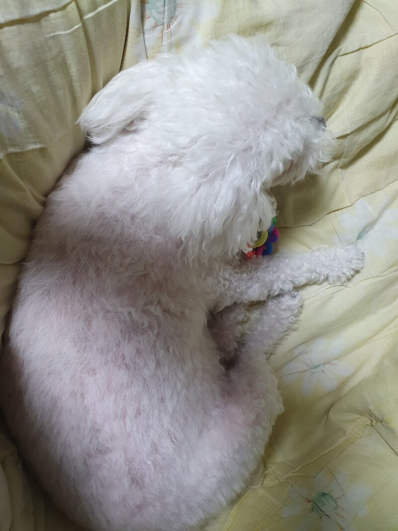 메이플스토리 인벤 이새끼 뭐임 메이플스토리 인벤 자유게시판