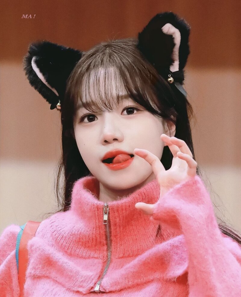 메이플스토리 인벤 경기끝나고 감독 레드카드면 뭐 있음 메이플스토리 인벤 자유게시판