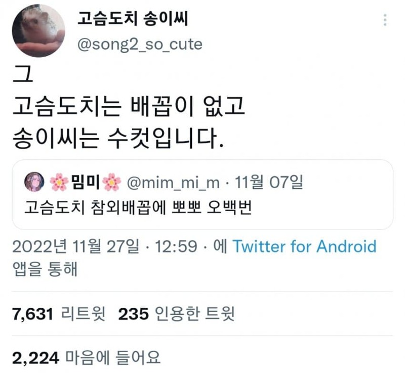 메이플스토리 인벤 고슴도치 배꼽 메이플스토리 인벤 자유게시판